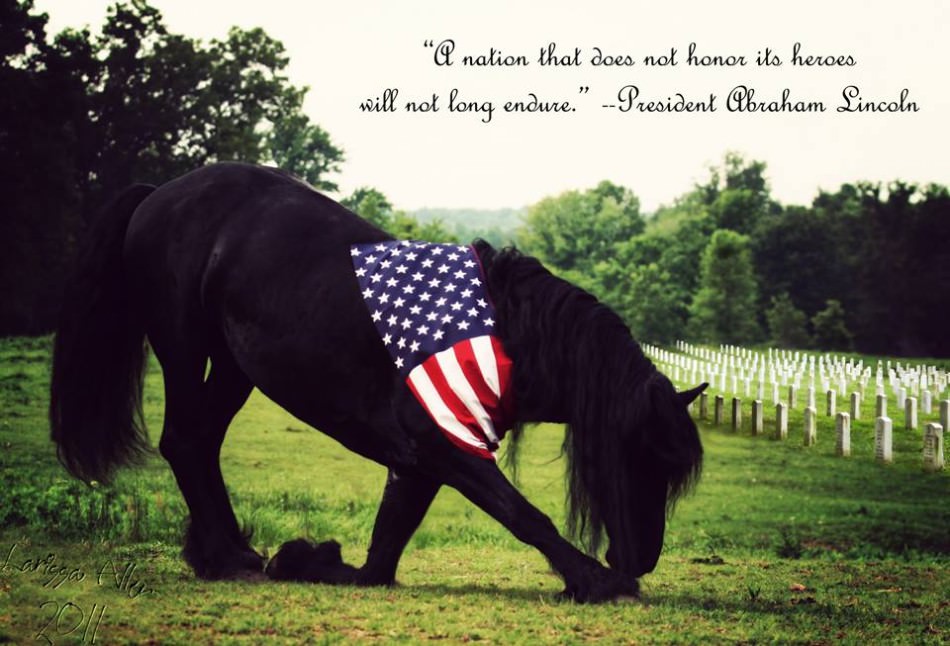 The U.S. Army Remount Service