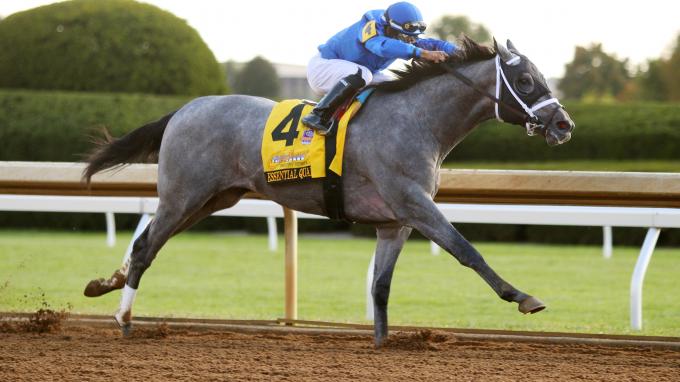 Who Wins The BC Classic