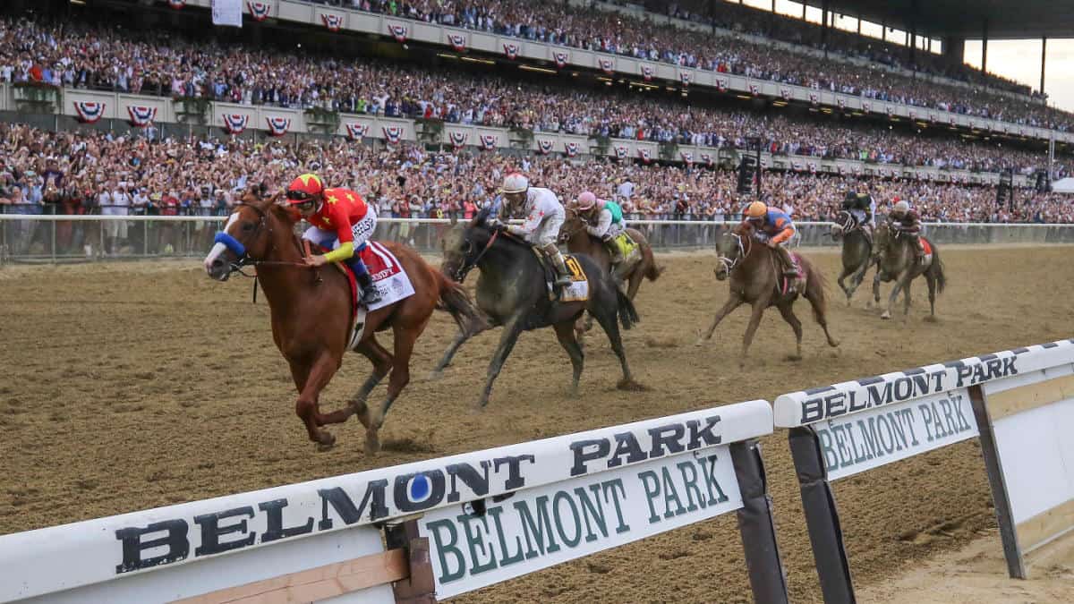 Belmont By The Numbers