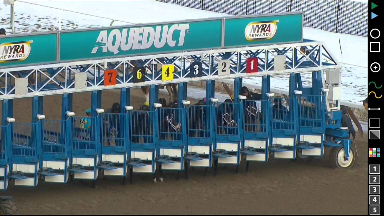 Who Wins The Withers