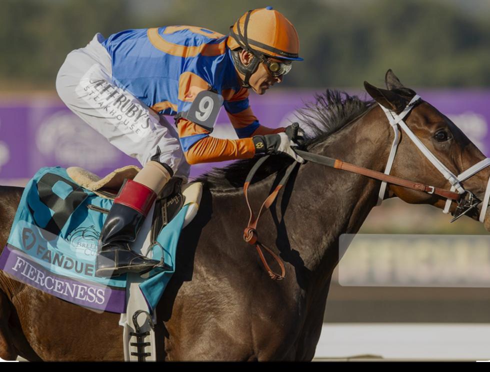 Who Wins The Holy Bully Stakes?