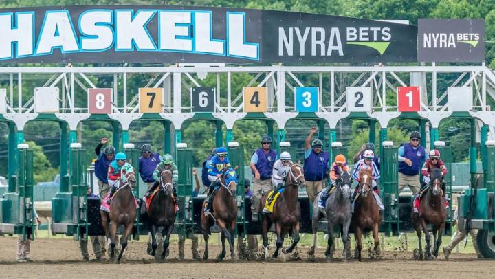 Your Source For Horse Discourse