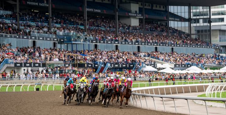 Who Wins The Ontario Derby